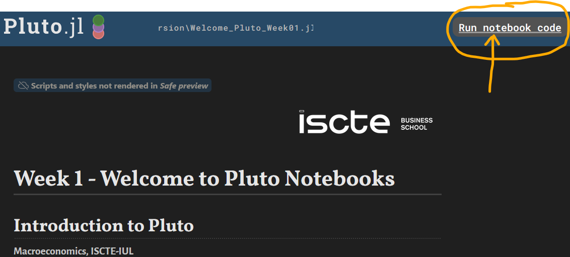 Introduction to Pluto